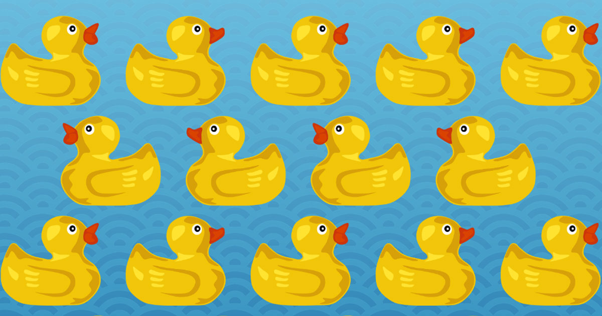 Rubber Duck Race template | Visufund