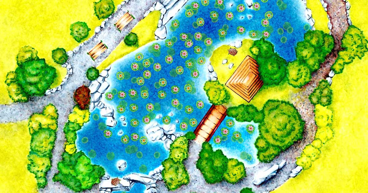 Lily Pond template | Visufund