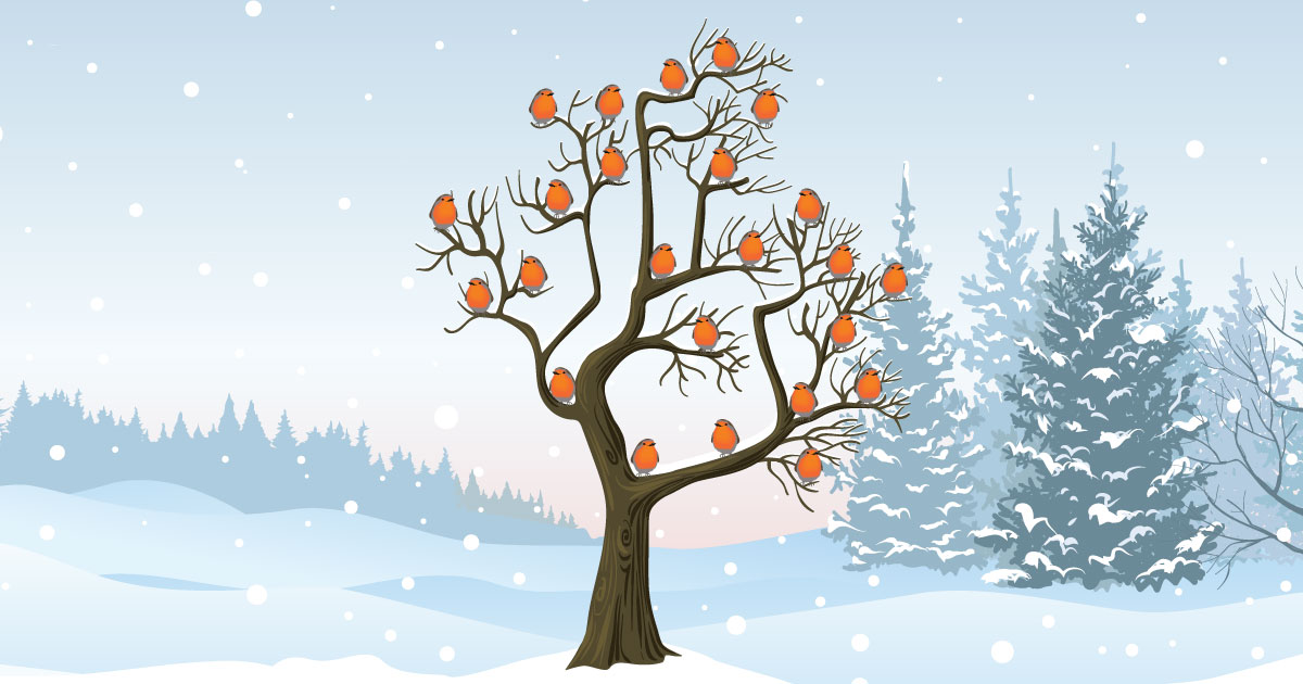 Prifysgol Wrecsam Wrexham University 2025 / Canolfan Technolig OpTIC ...